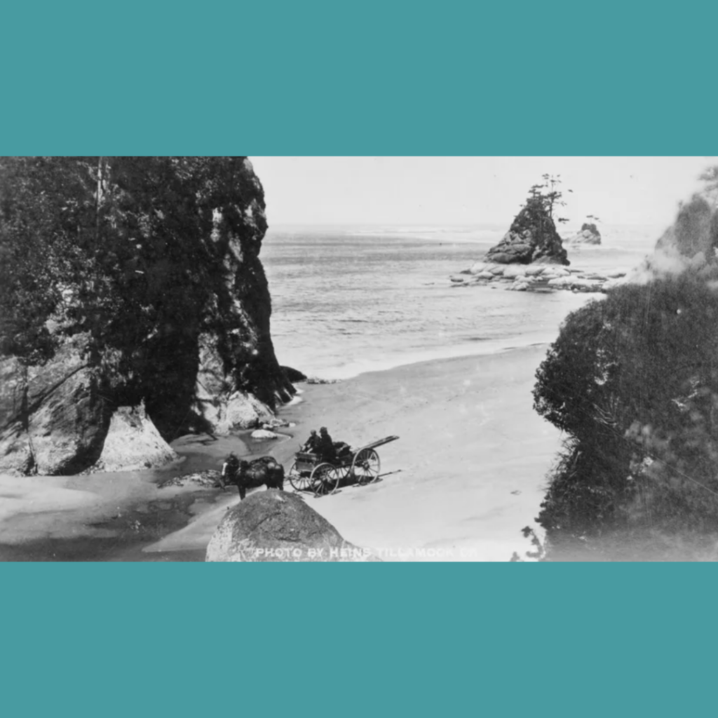 Timeline | Oregon Shores Conservation Coalition