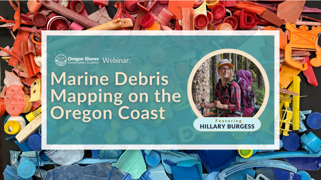Marine Debris Mapping on the Oregon Coast | Oregon Shores Conservation ...