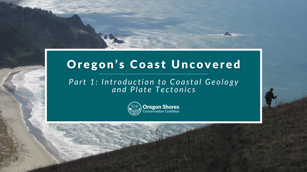Oregon’s Coast Uncovered Part 1: Introduction to Coastal Geology and ...