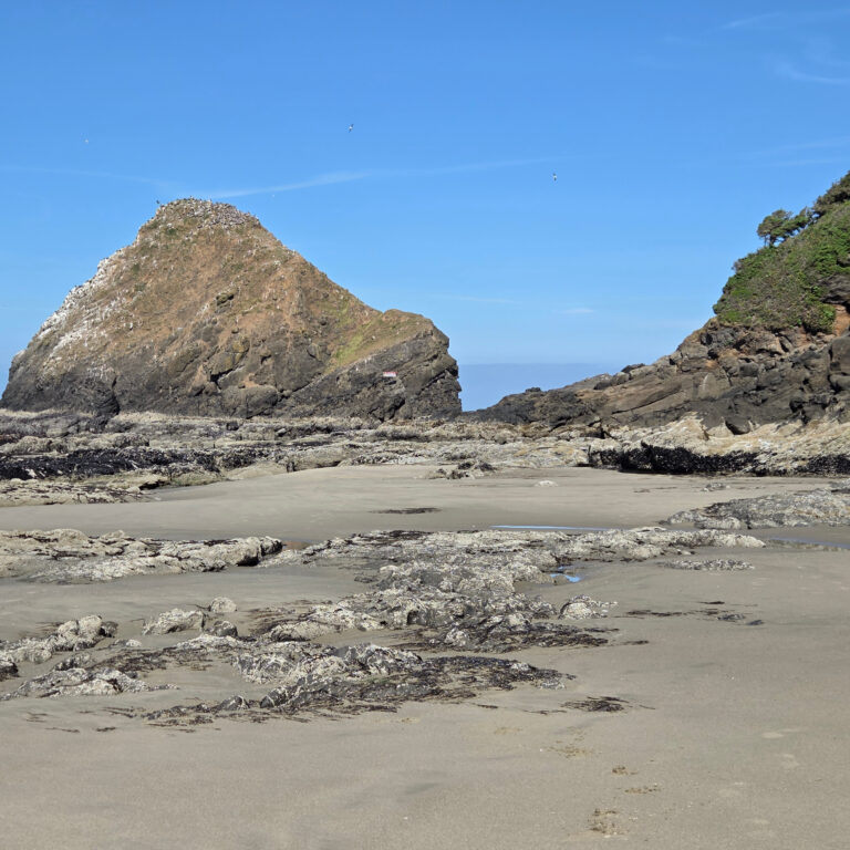 Mile 179 - Heceta Head Lighthouse, Devils Elbow SP, Cape Creek - 05/21 ...